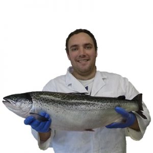 Dr Matthew Jago - NuSea.Lab