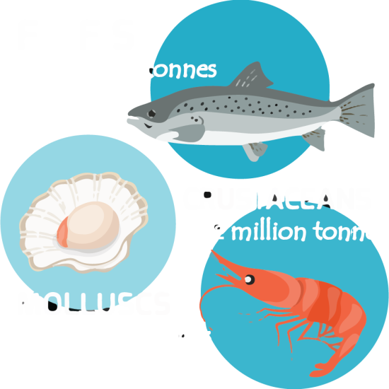 NuSea.Lab | The Nutrition and Seafood Laboratory | Aquaculture